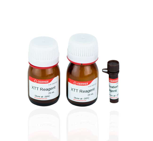 XTT Cell Proliferation Assay Kit – Vareum